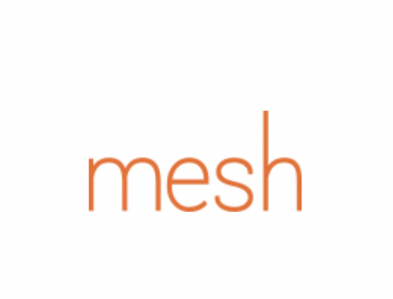 Services – Mesh Planning